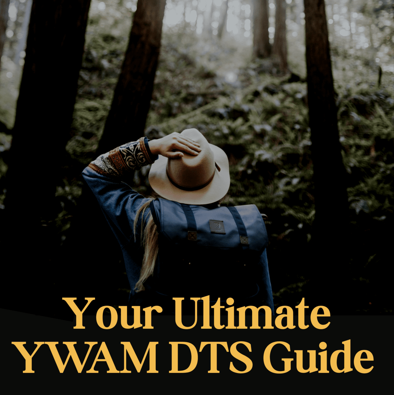 Your Ultimate YWAM DTS Guide - YWAM Asheville