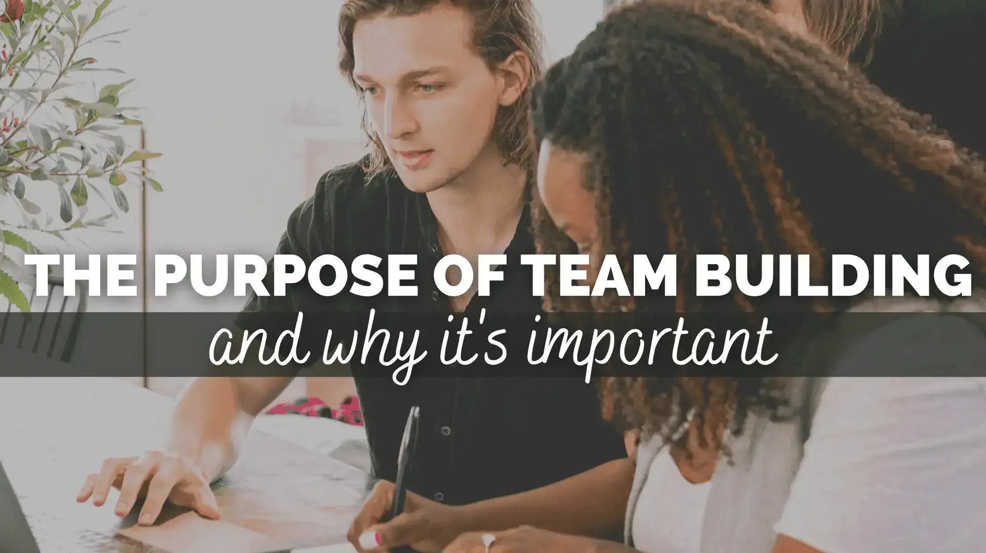 The Purpose of Team Building and Why It’s Important | YWAM Asheville
